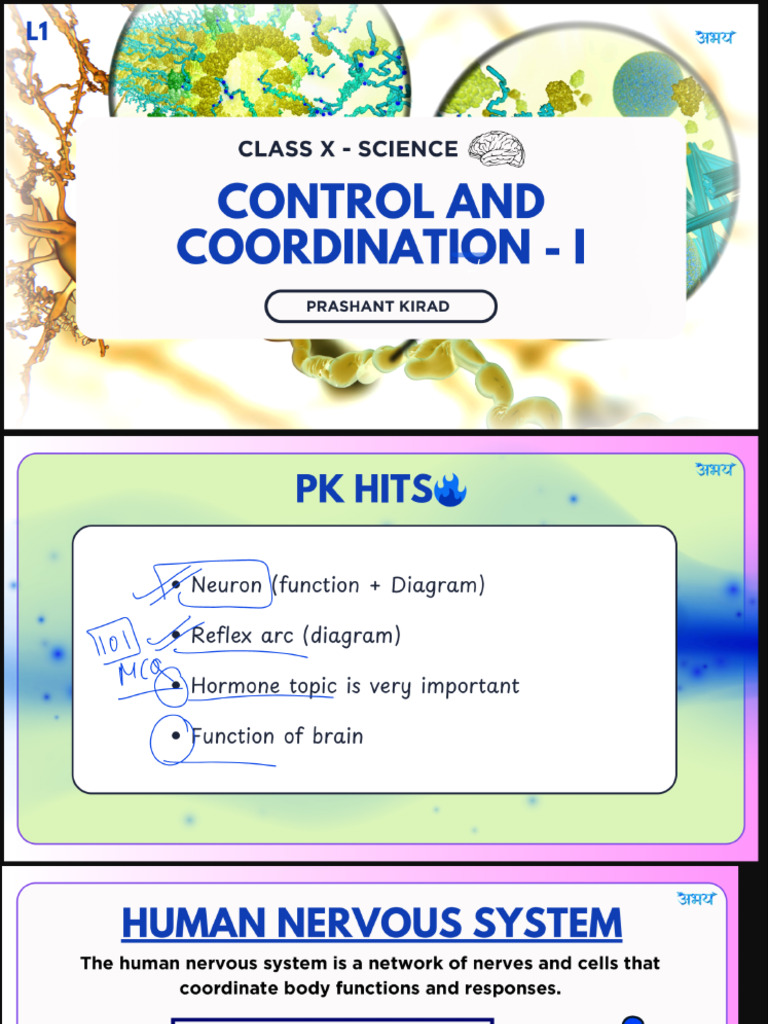 Control 2-Invert - 042805 | PDF