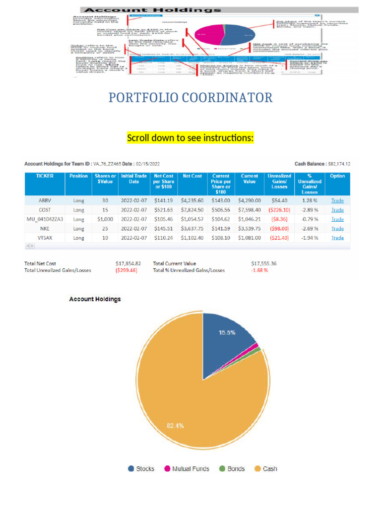 Portfolio Coordinator | PDF