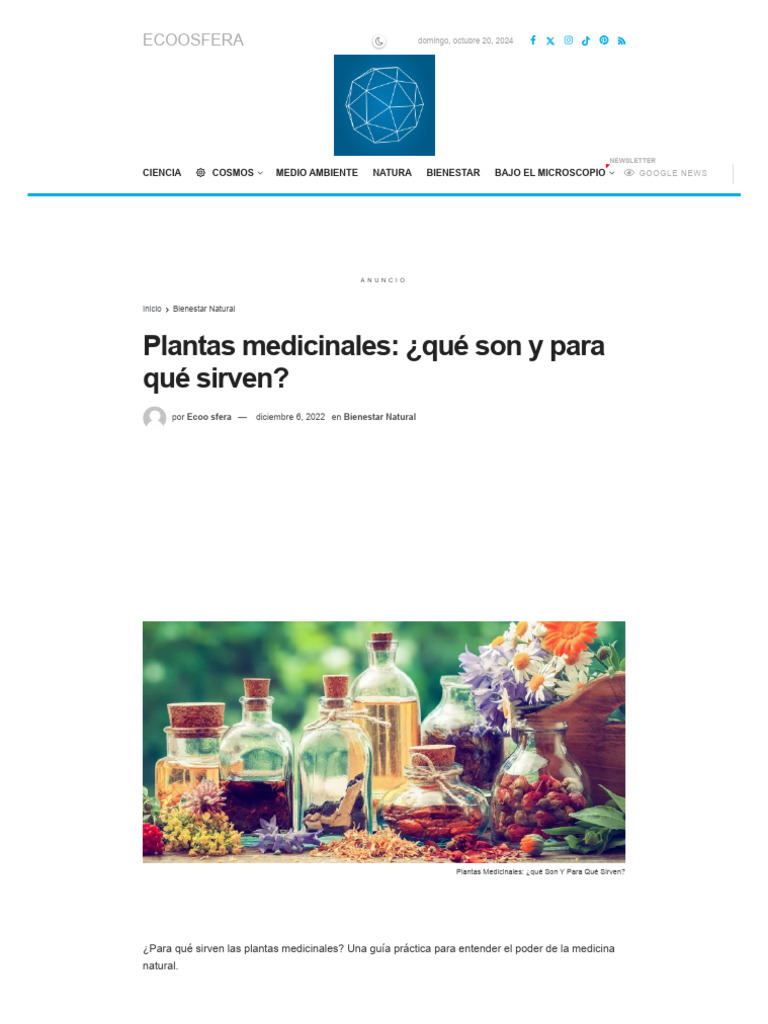 Plantas Medicinales - ¿Qué Son y para Qué Sirven | PDF | Plantas ...