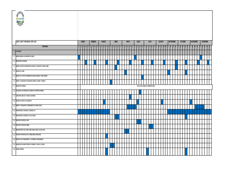 Carta Gantt Programa Año 2025 | PDF