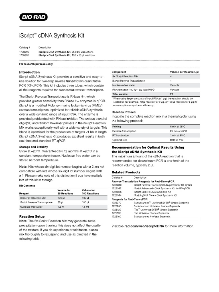 IScript CDNA Synethesis Kit | PDF