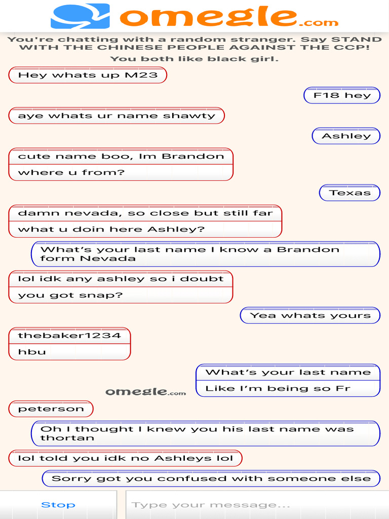 Omegle Talk To Strangers! | PDF