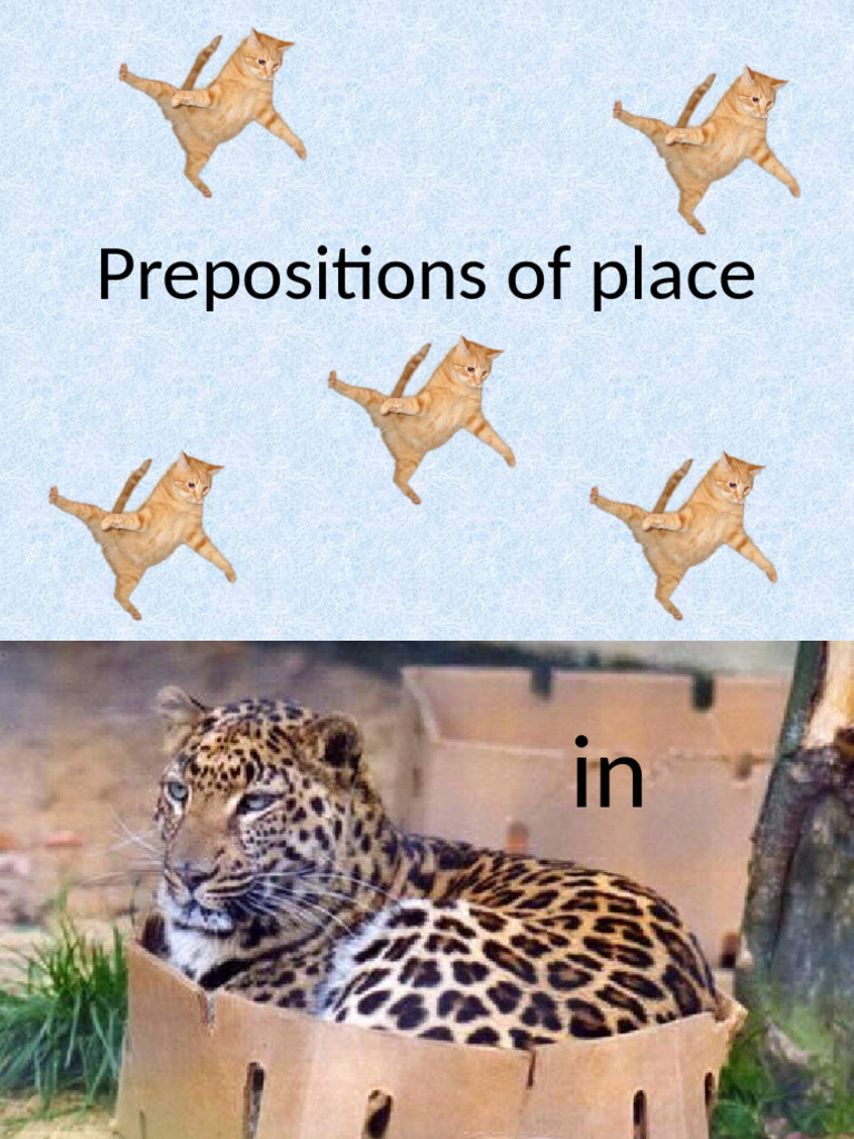 Prepositions of Place Flashcards Fun Activities Games Games Grammar ...