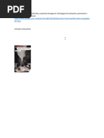 Guía de Netiqueta para El Aula Virtual | PDF