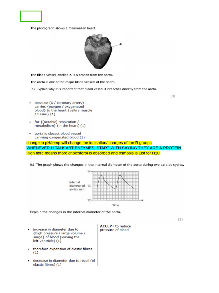 Biology Hard Questions o Level Igcse | PDF
