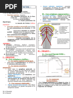 Anatomie du diaphragme stylien | PDF | Tête et cou chez l'humain ...
