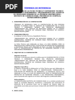 Formato Informe de Necesidad | PDF