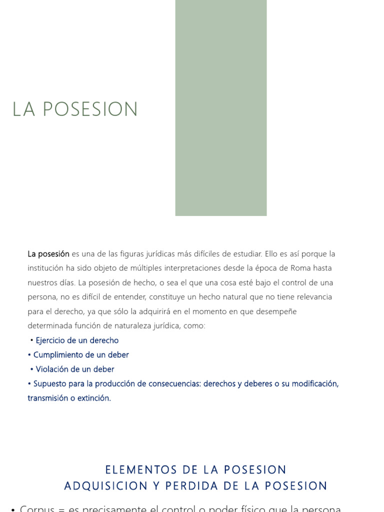 Interdictos en la Posesión Jurídica | PDF | Posesión (Ley) | Justicia