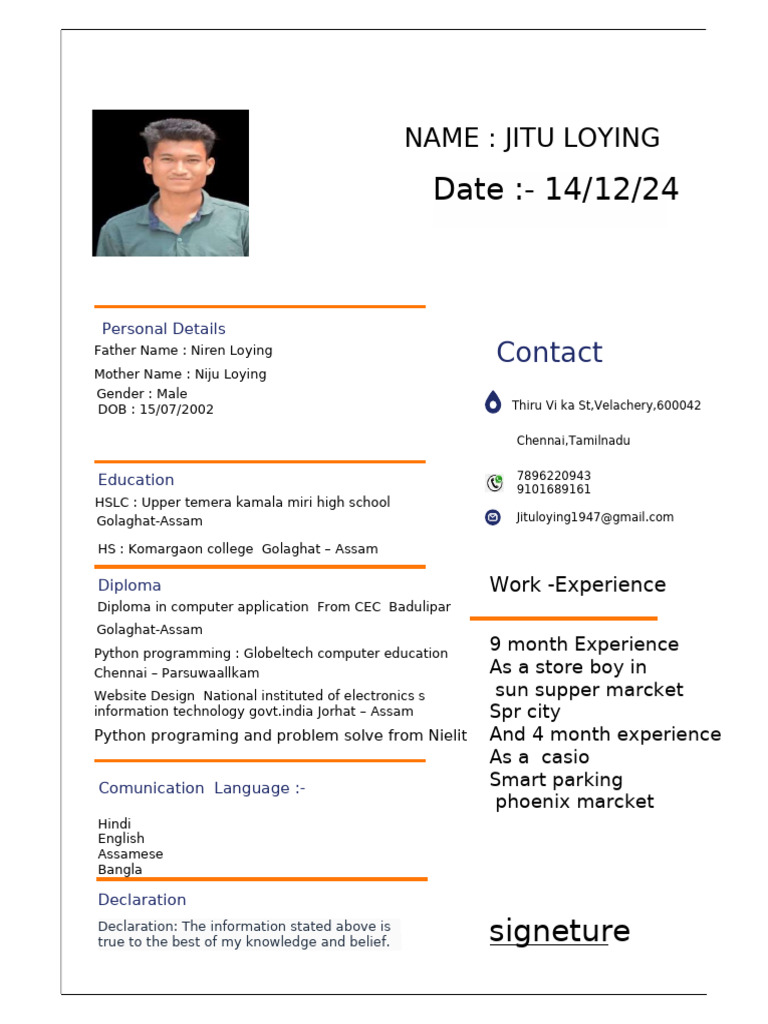 My Resume1 | PDF