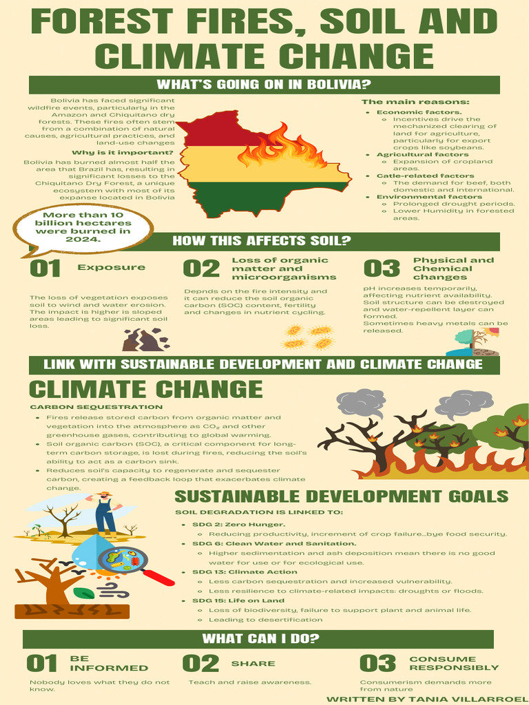 Bolivia's Forest Fires and Soil Impact | PDF | Soil | Wildfire