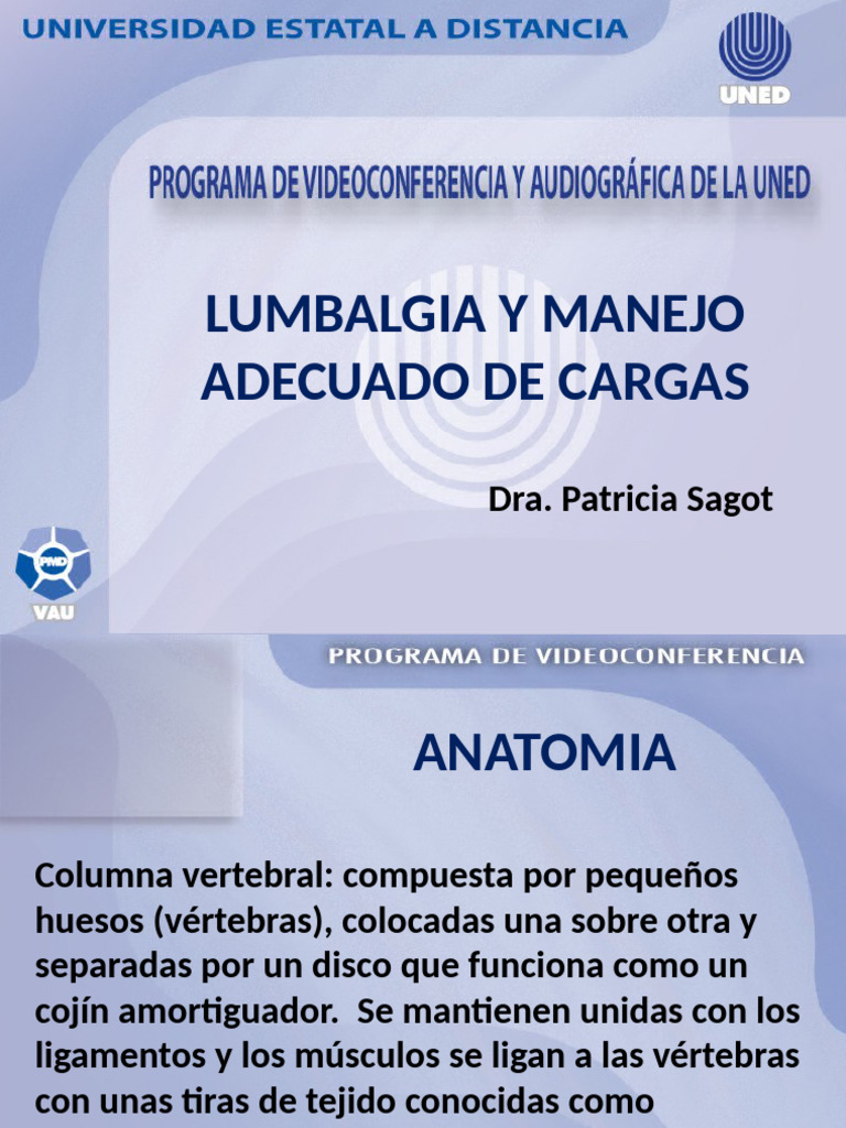 Manejo de Lumbalgia y Cargas Seguras | PDF | Dolor lumbar | Sistema ...