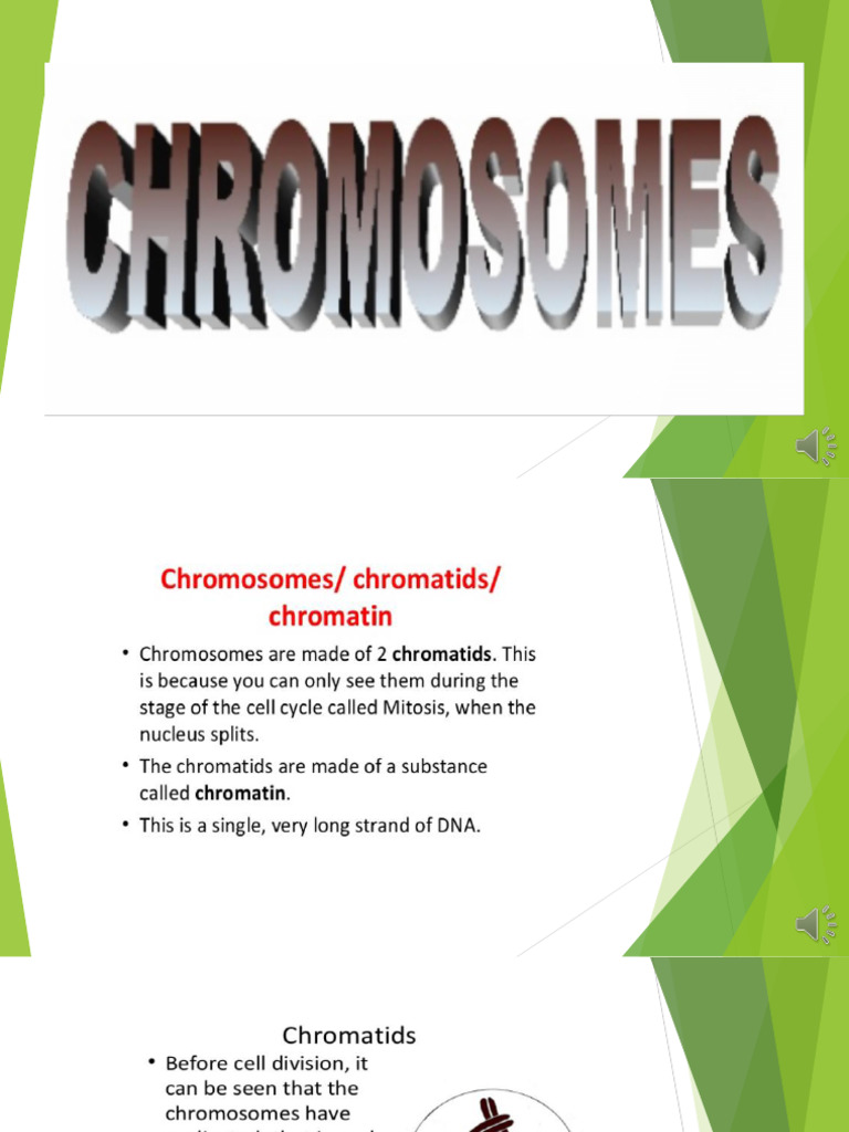 Chromosome 2 | PDF