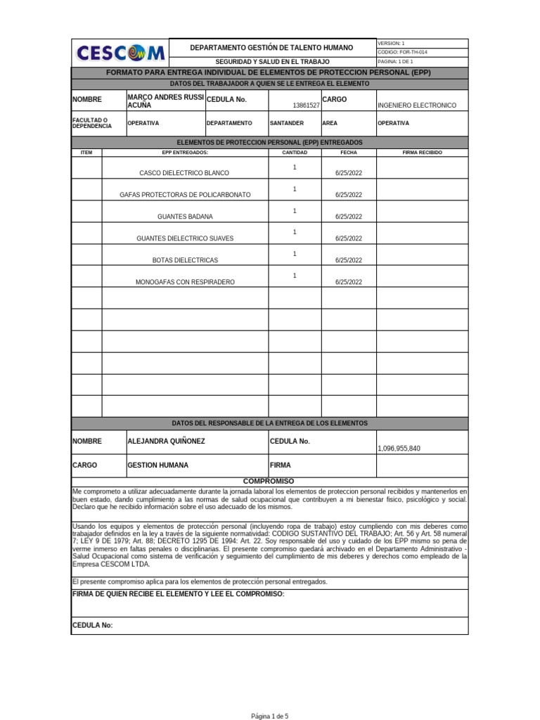 Formato de Entrega de Epps | PDF | Seguridad y salud ocupacional | Laboratorios