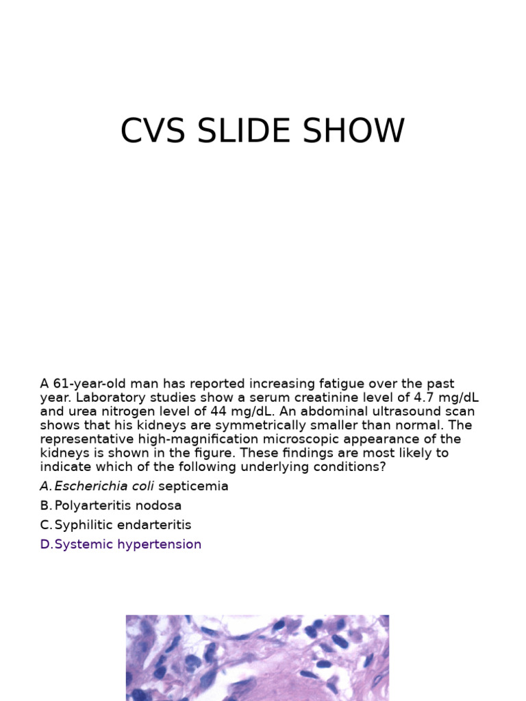CVS SLIDE SHOW | PDF | Heart | Hypertension