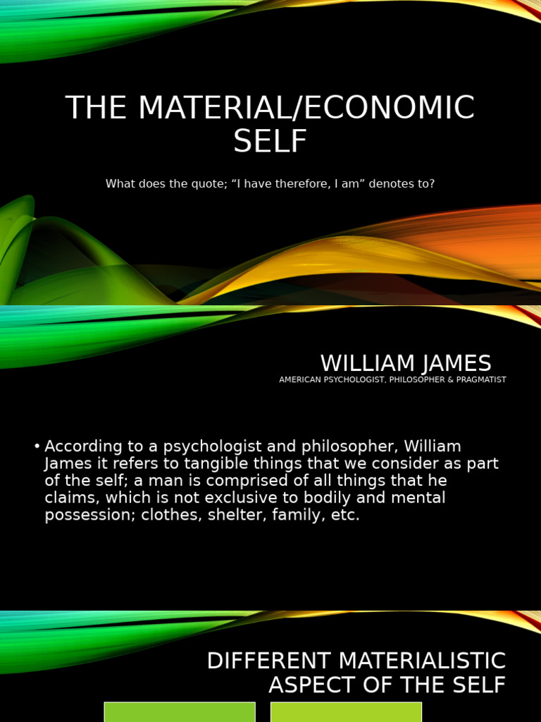 The Material Self | PDF | Goods | Self