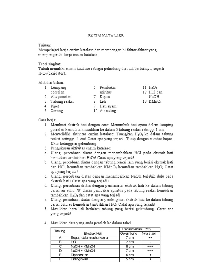 Enzim Katalase | PDF