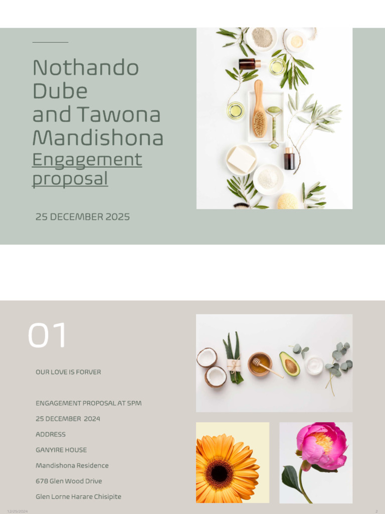 Nothando Dube and Tawona Mandishona INVITE 25 DECEMBER 2024 | PDF