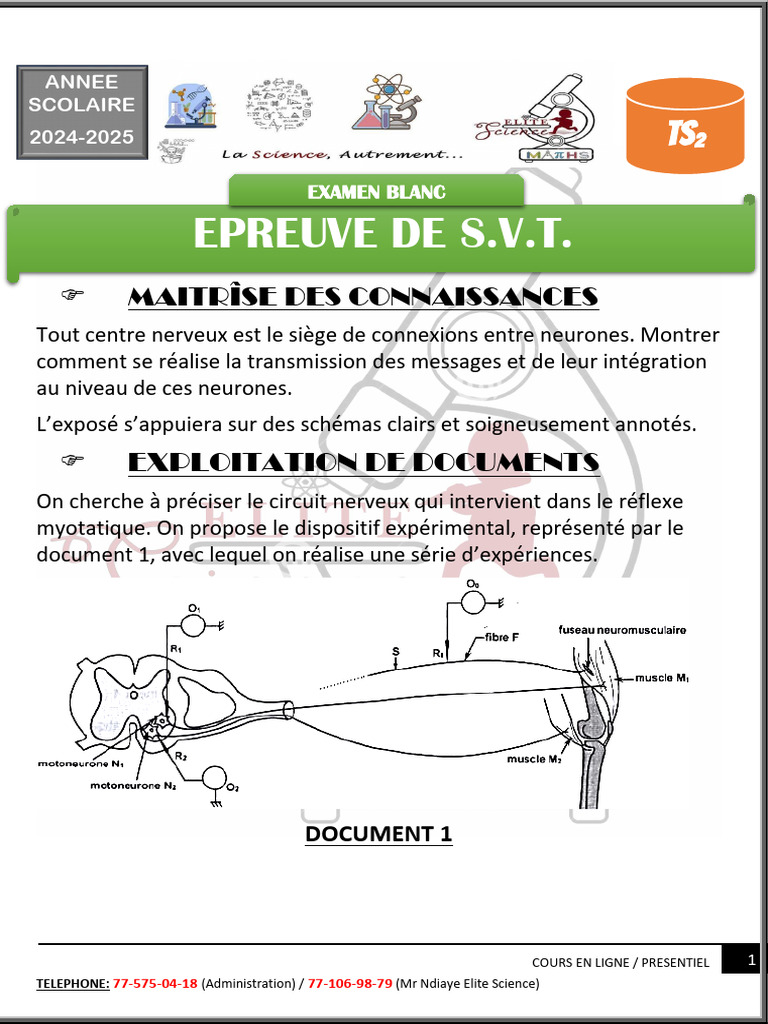 Ts2 (2025) Bac Blanc Svt Elite Science | PDF | MDMA | Sérotonine