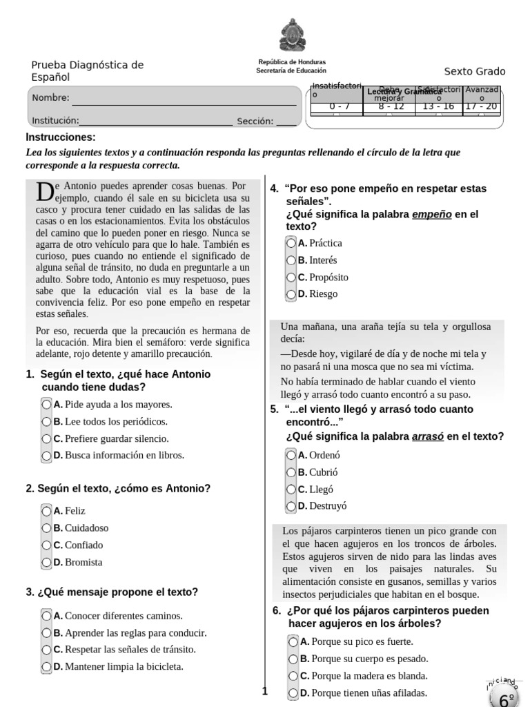 Prueba Diagnóstica 6º Español (2011) | PDF | Residuos