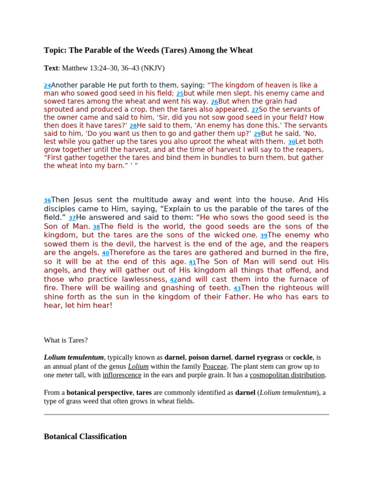 Understanding Wheat and Tares | PDF | Wheat | Cereals