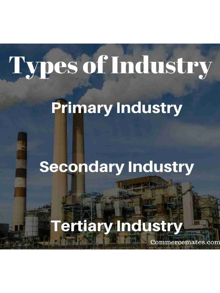 III. Classification of Business Activities Industry and Commerce-6-19 ...
