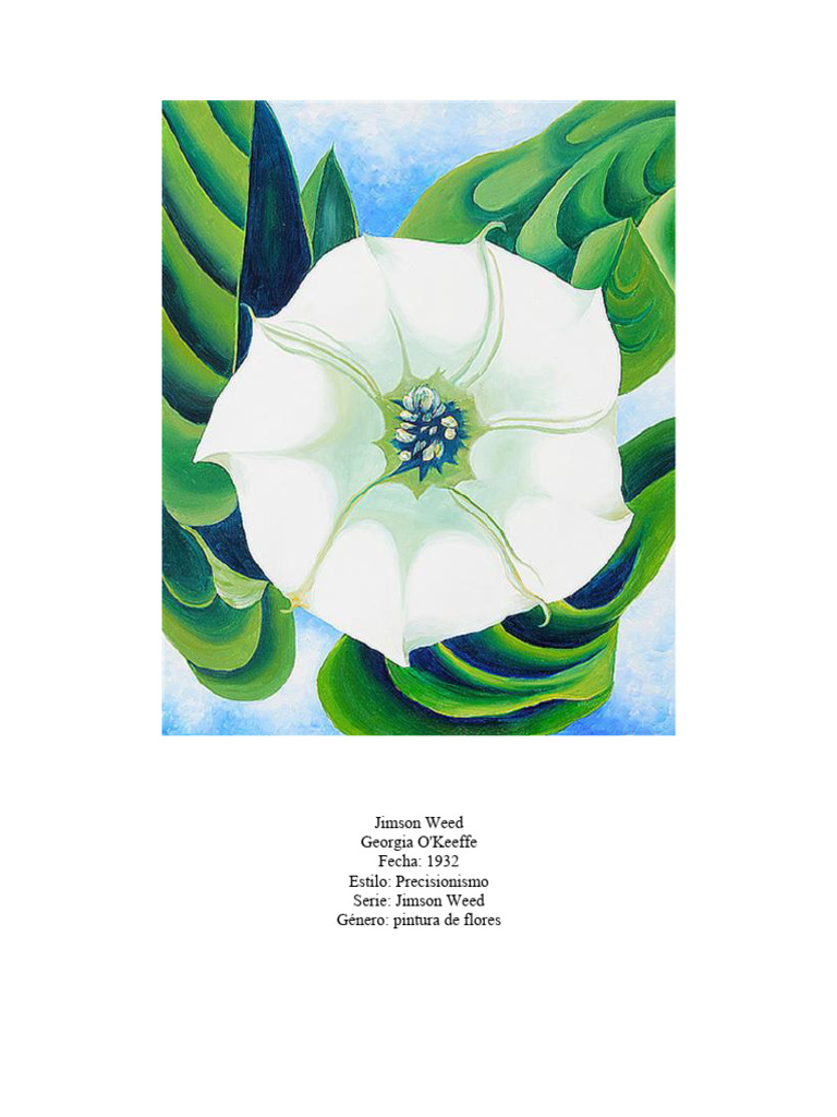 Jimson Weed | PDF
