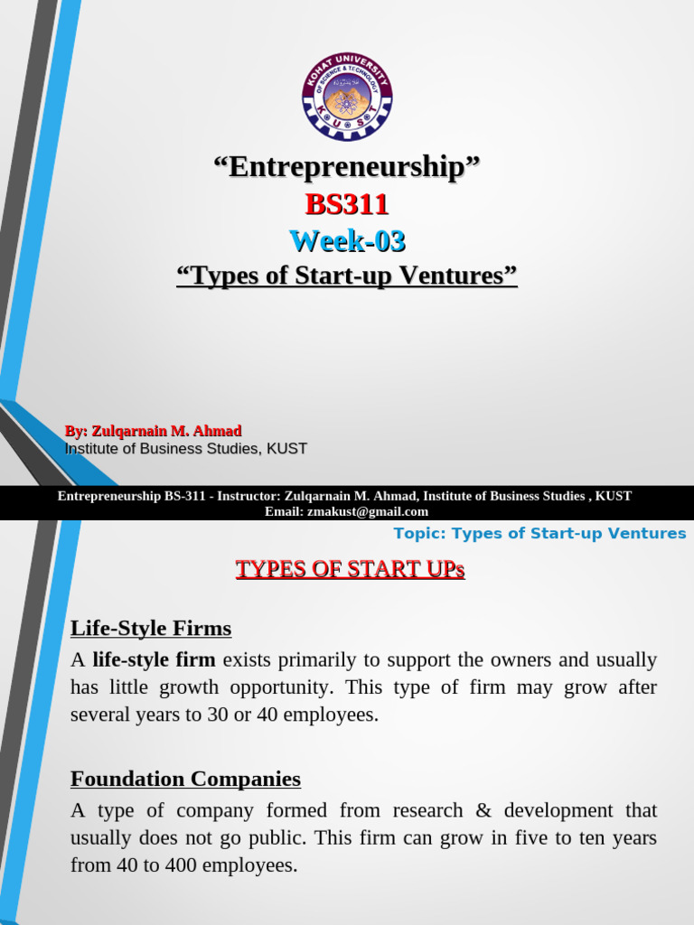 Types of Start-Up Ventures | PDF | Entrepreneurship | Bovidae