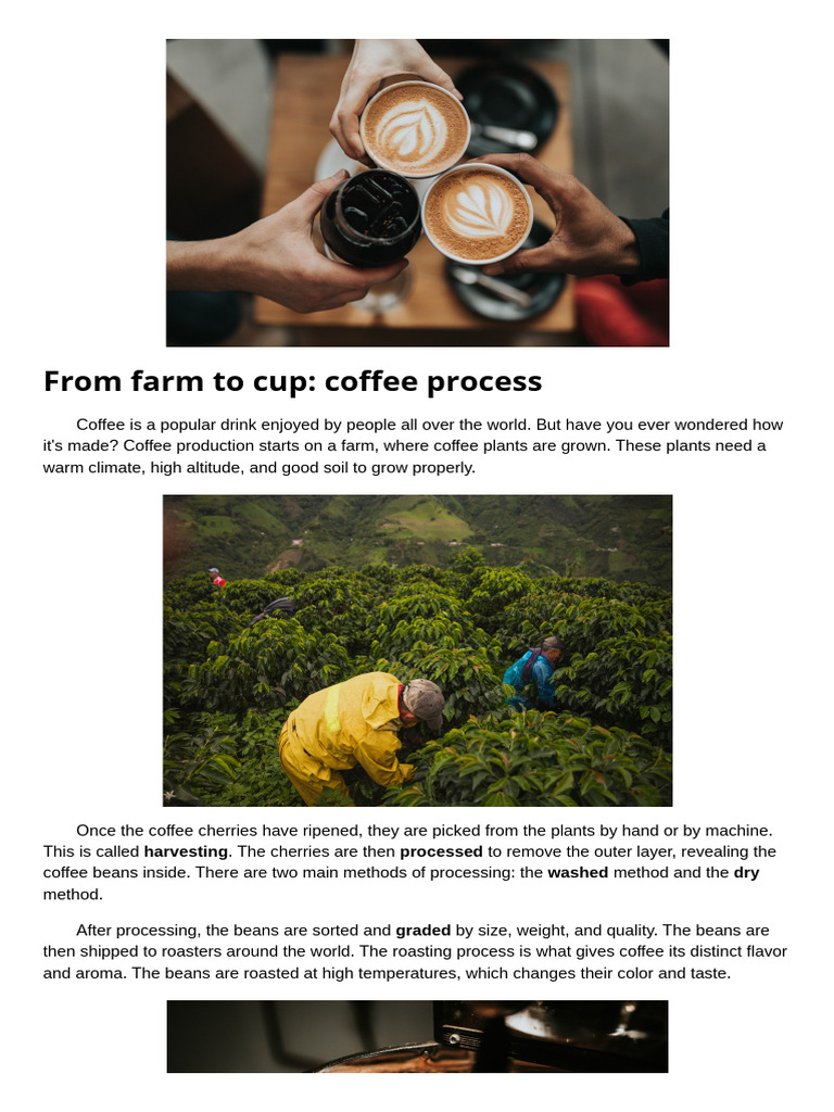 Coffee Production: From Farm to Cup | PDF