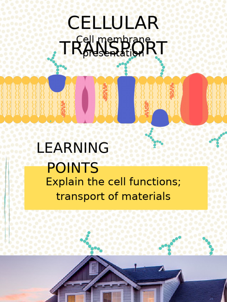 Cell Membrane Phospholipid Bilayer Biology Presentation in A Bold ...