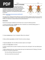 Student Exploration Evolution Mutation and Selection Gizmo Answers ...
