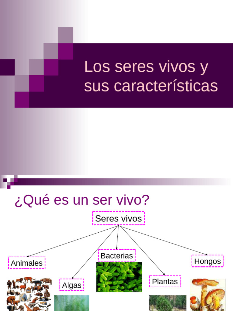 Características de los Seres Vivos | PDF | Organismos | Nutrientes