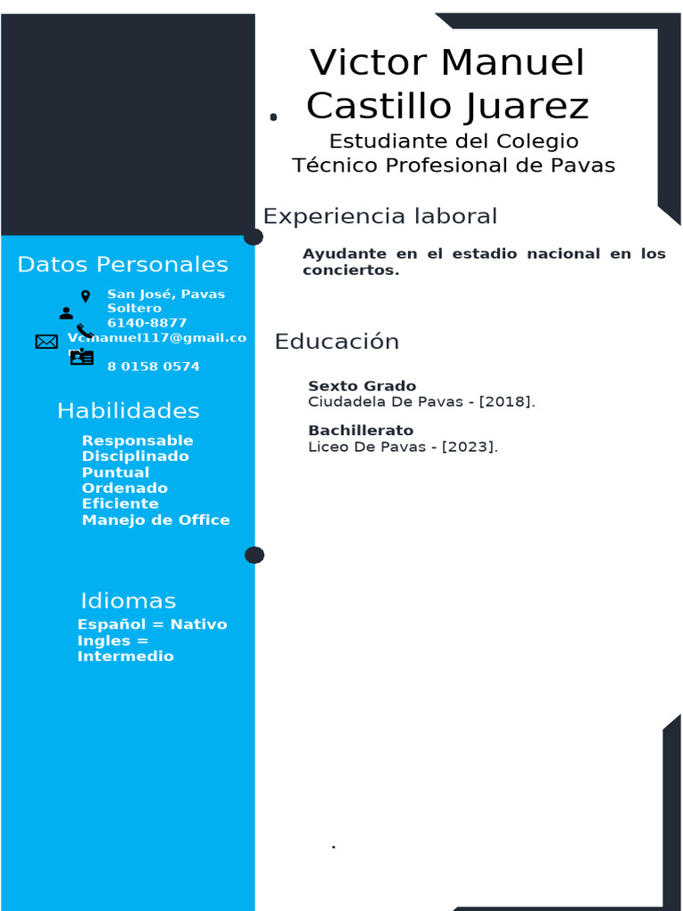 CV 2024 | PDF