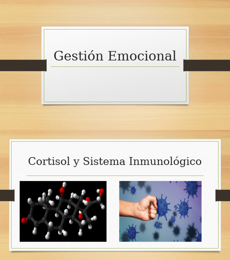 Gestión Emocional | PDF