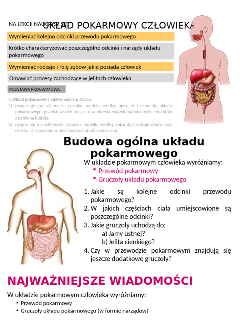 Budowa Uk - Adu Pokarmowego | PDF