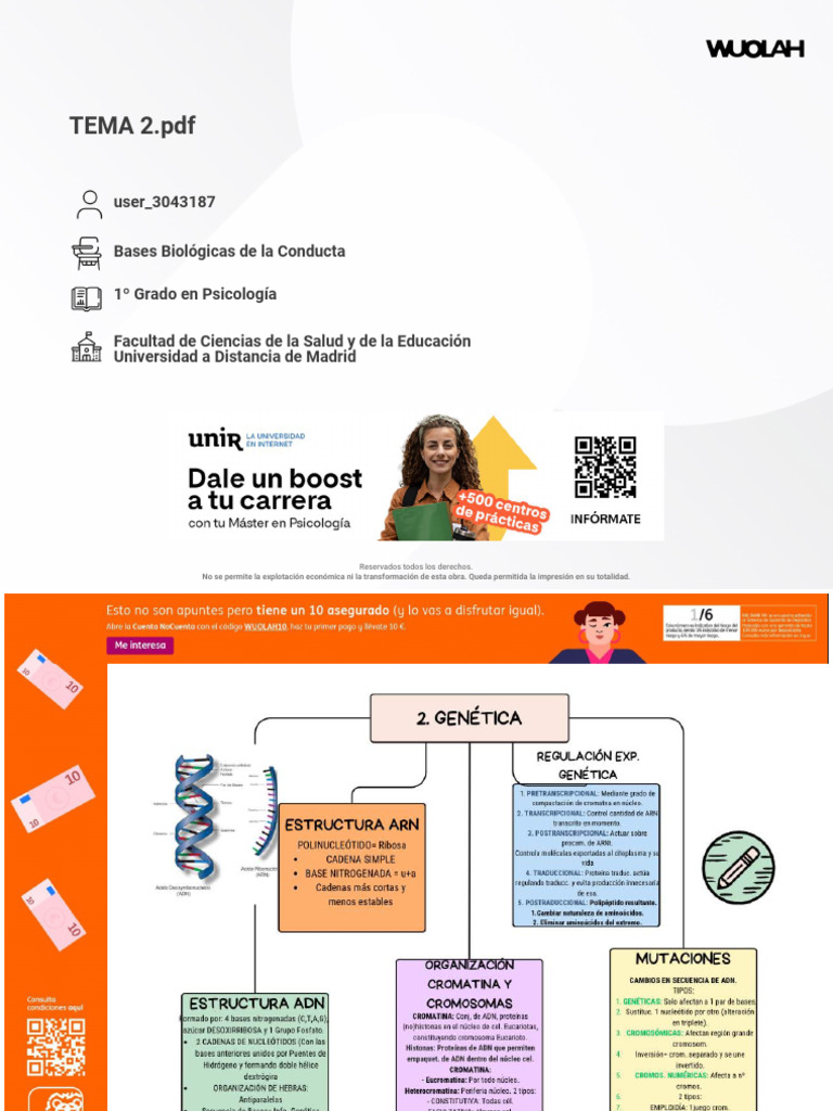 wuolah-free-TEMA 2 | PDF