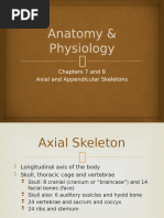 Unlabeled Axial Skeleton Overview | PDF | Skull | Skeletal System