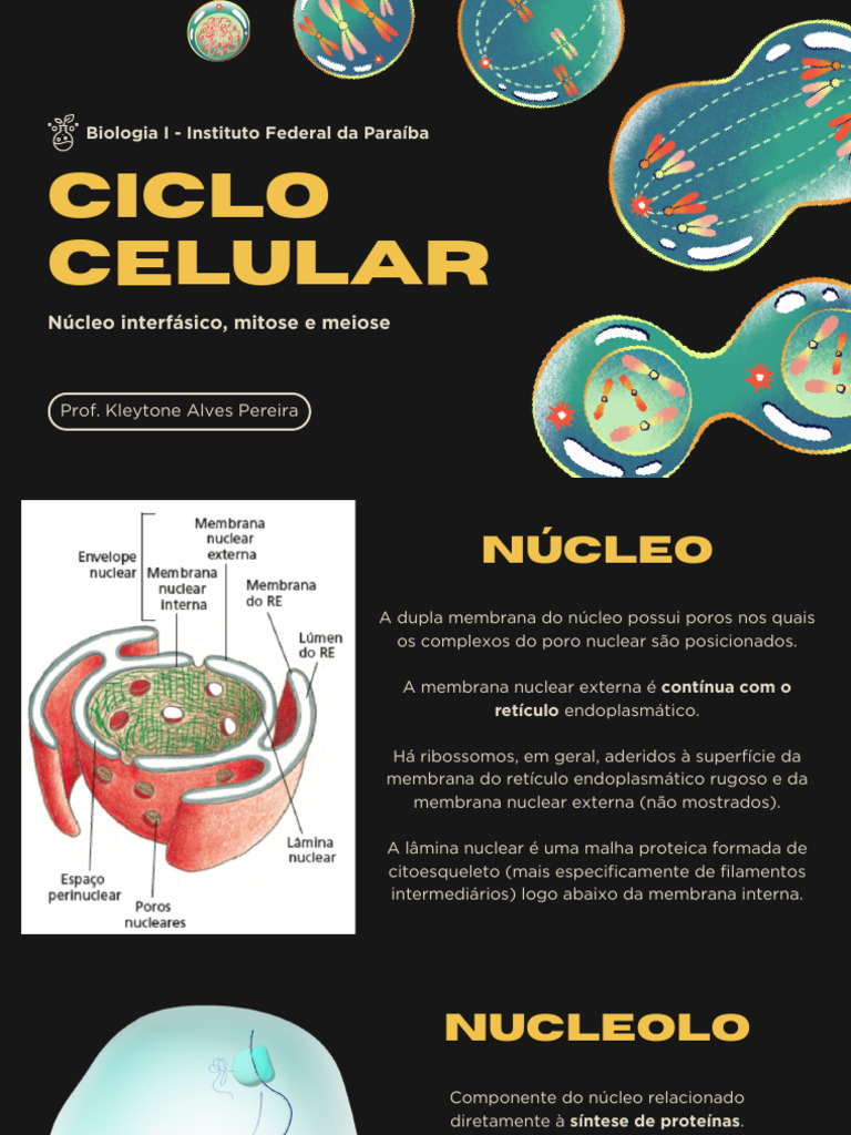 Aula 15 - Nucleo Interfasico e Interfase | PDF | Célula (Biologia) | Núcleo celular