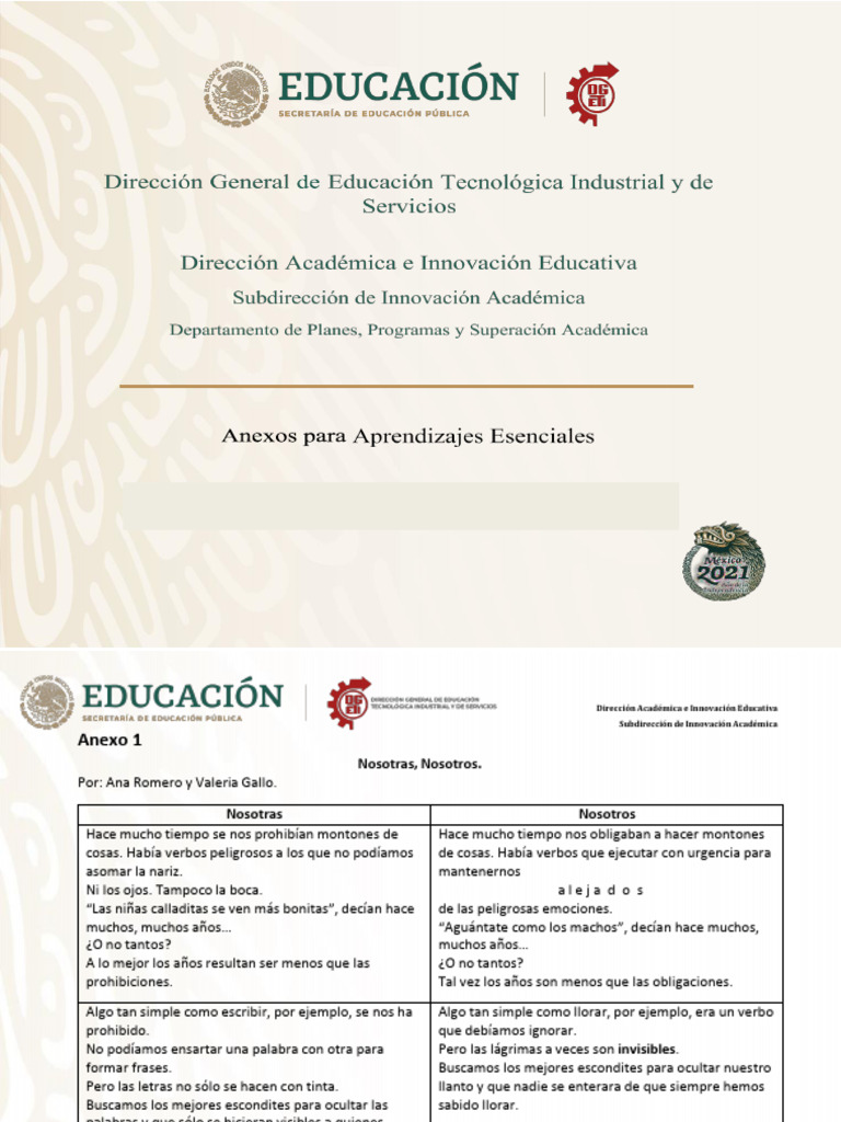 Anexos I | PDF | Millennials