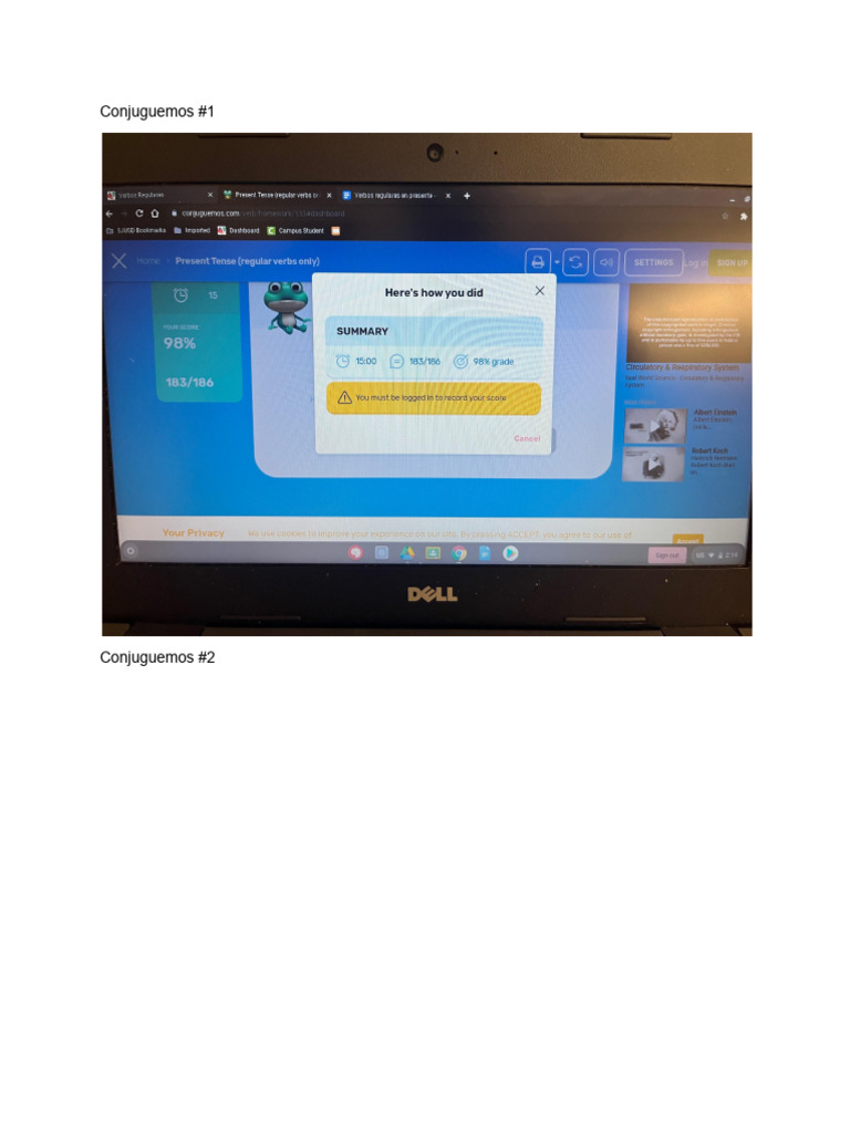 Verbos Regulares en Presente | PDF