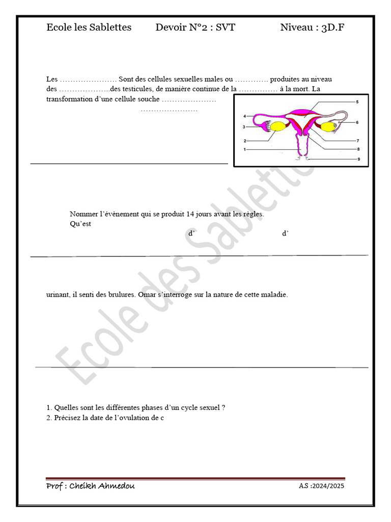Évaluation SVT : Reproduction Humaine CM2 | PDF