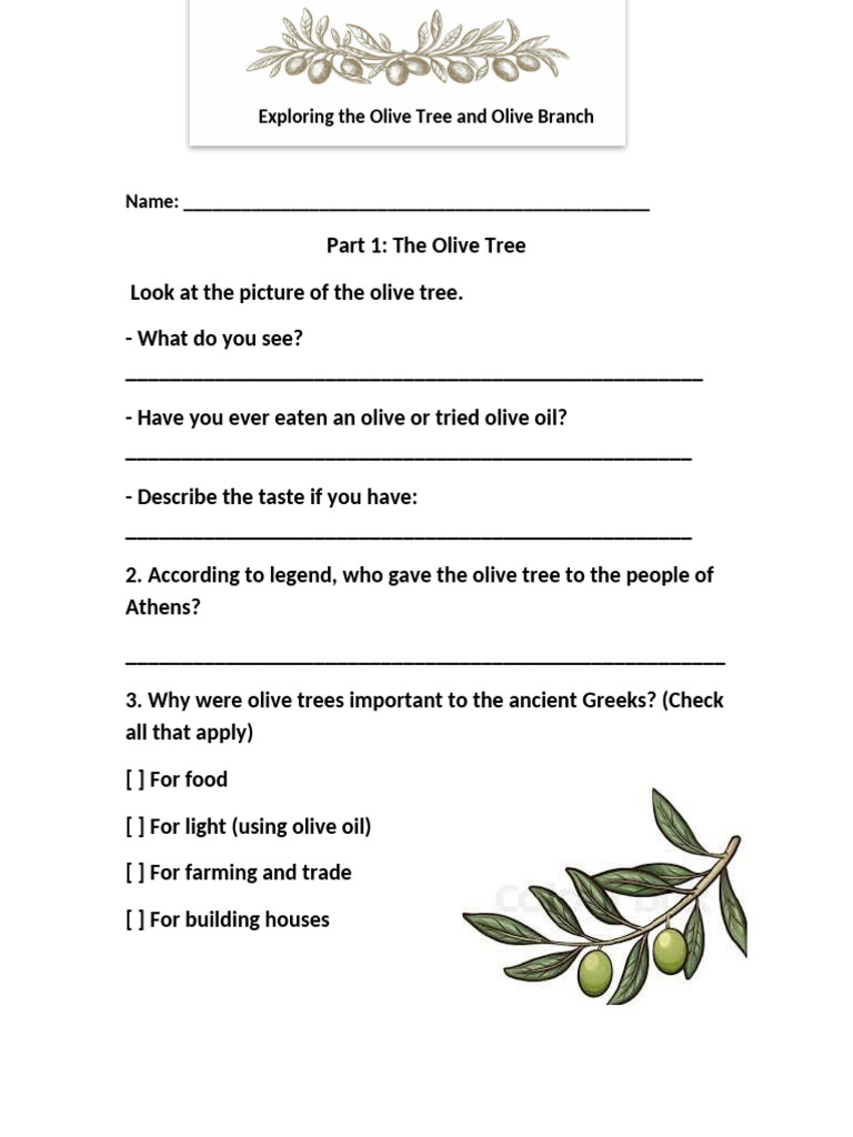 Guided Worksheet Olive Tree Lesson | PDF