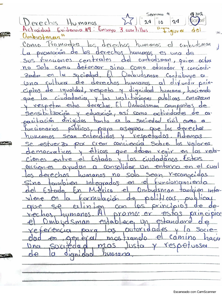 Caso Valentina Rosendo Cantu VS Mexico Exposicion DDHH | PDF