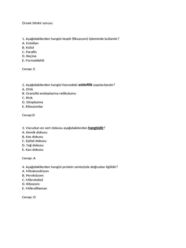 Ã Rnek SINAV Sorusu | PDF