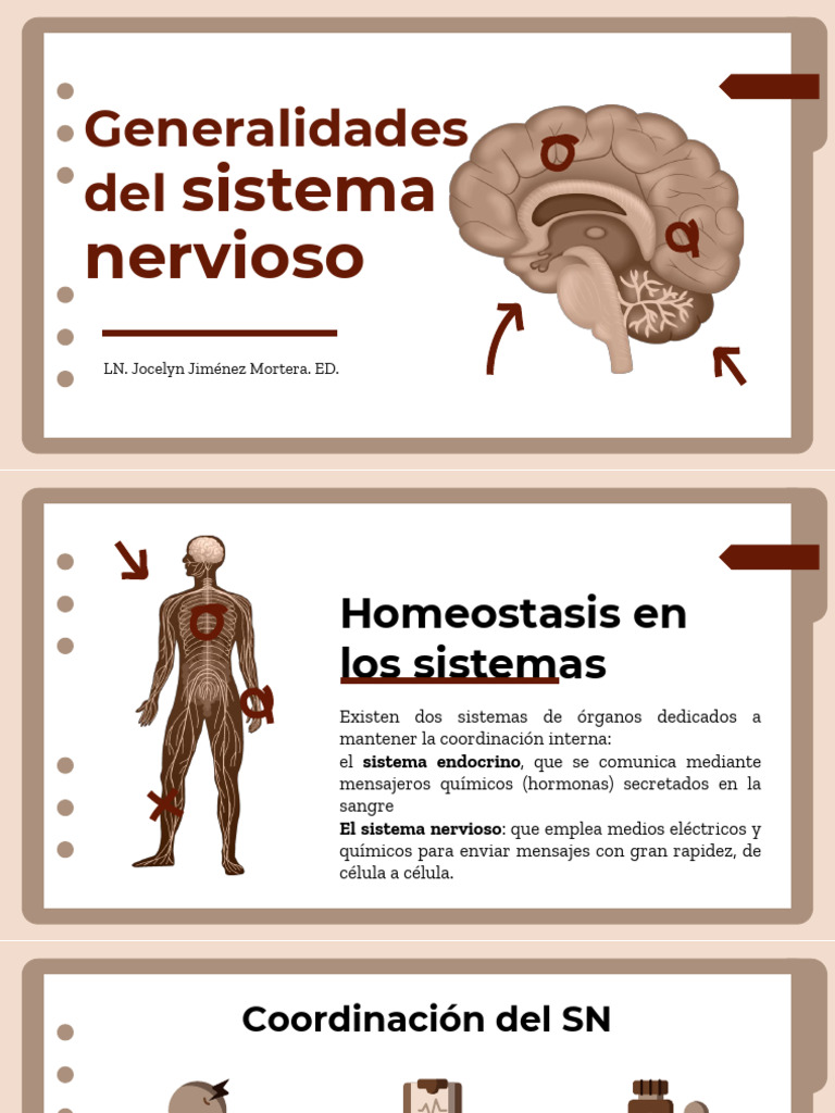 Generalidades Del Sistema Nervioso | PDF | Neurona | Sistema nervioso