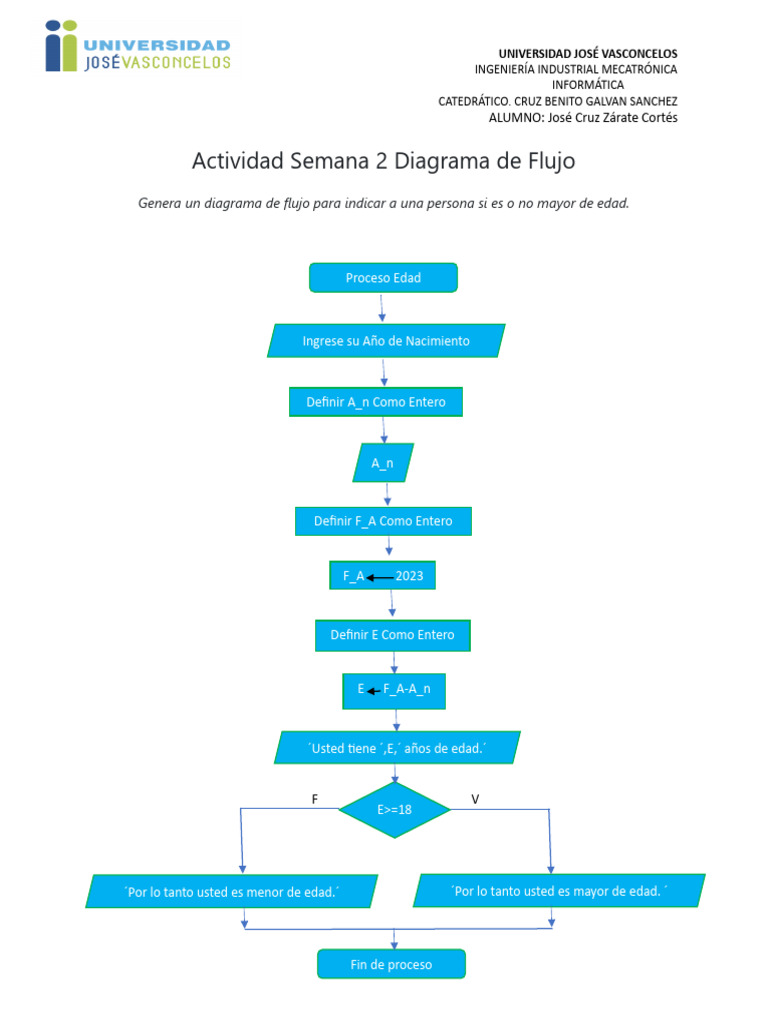 Actividad Semana 2 Diagrama de Flujo | PDF