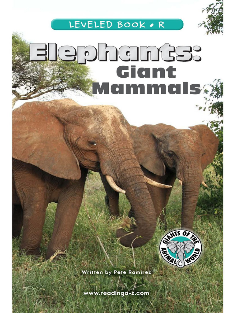 Elephants Giant Mammals | PDF