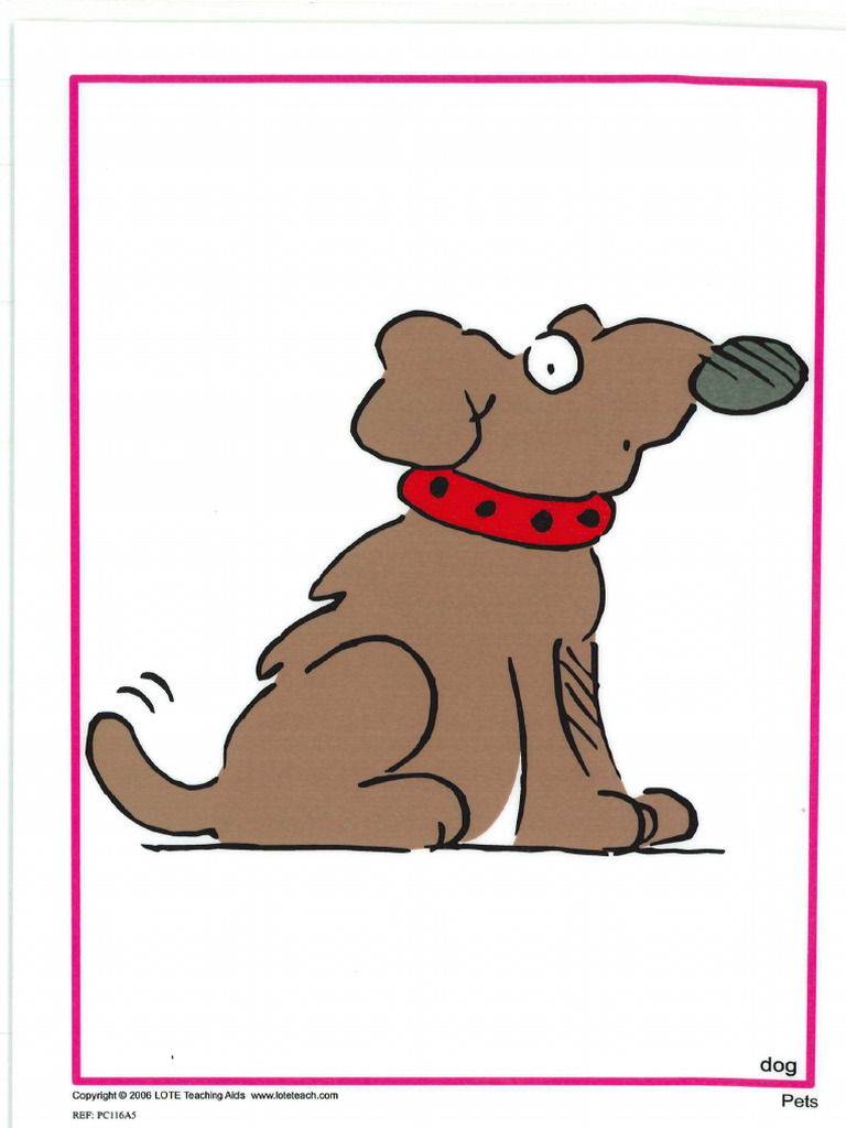 Liste des animaux domestiques | PDF