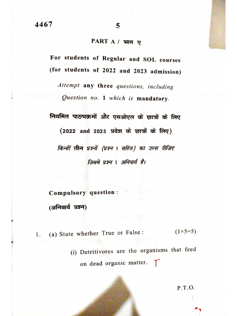 Question Paper 2023 | PDF