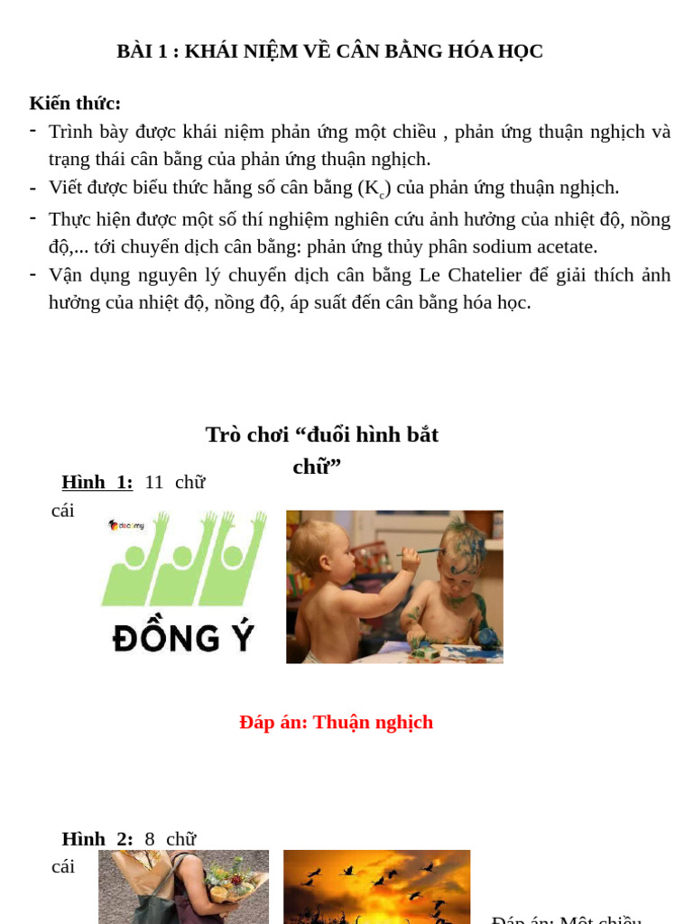 Bai 1 Khai Niem Ve Can Bang Hoa Hoc | PDF