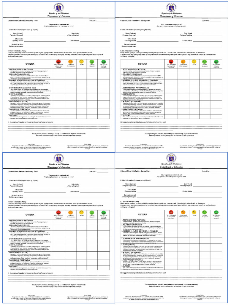 Pems Client Survey Form | PDF